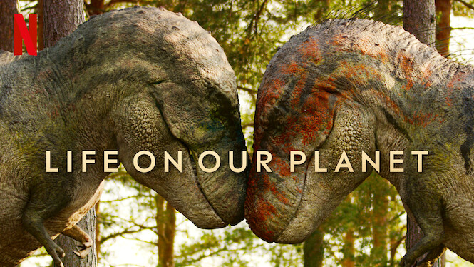 Is 'Life on Our Planet' on Netflix? Where to Watch the Documentary ...